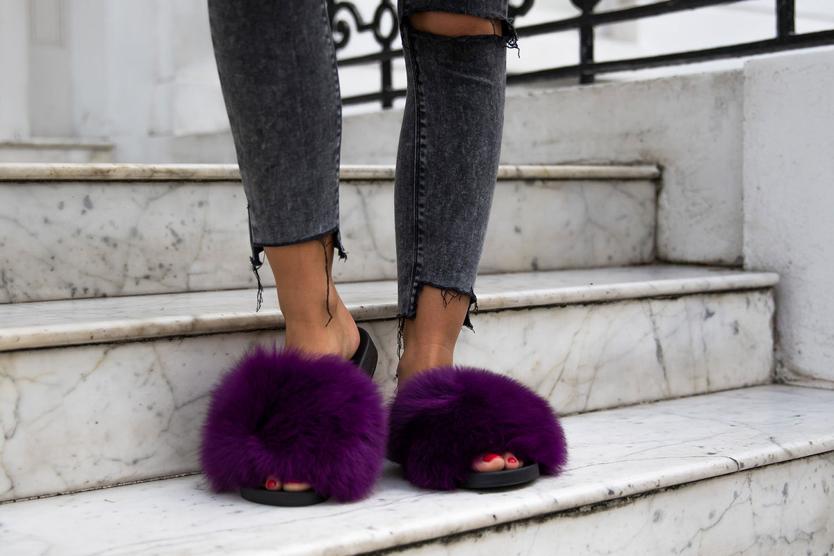 Purple Fox Sliders – TREND STUDIO LONDON